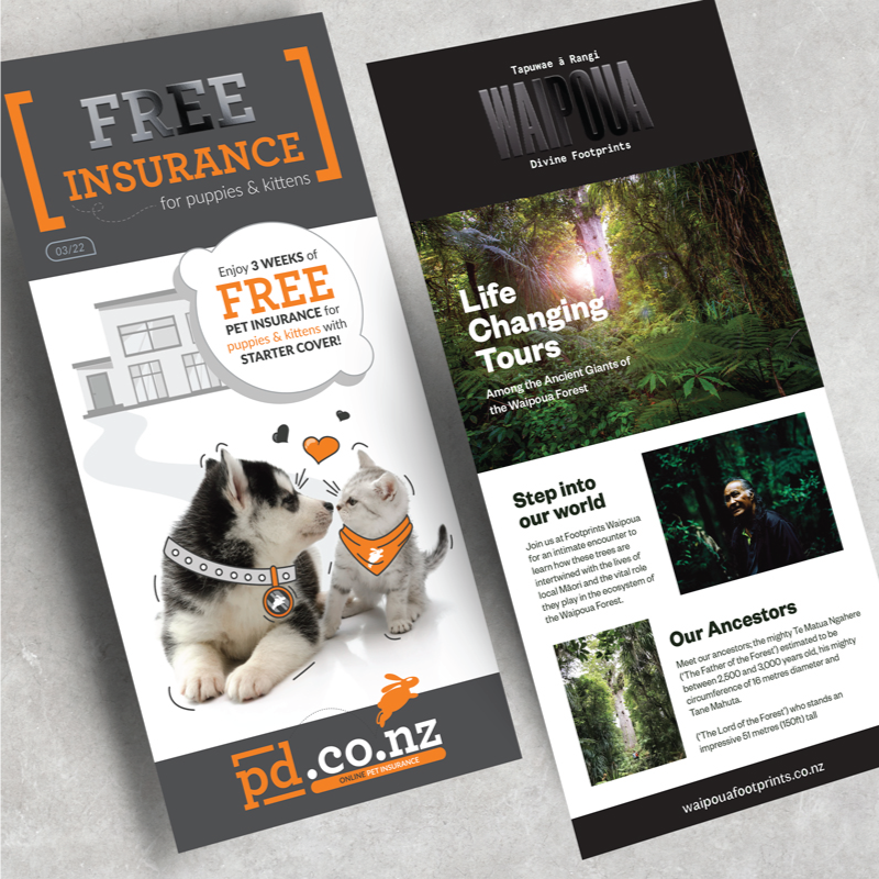 Spot UV DL Cards — The Print Company